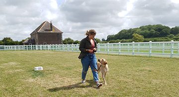 Six Top Tips for Loose Lead Walking Success - Hounds and Hooves