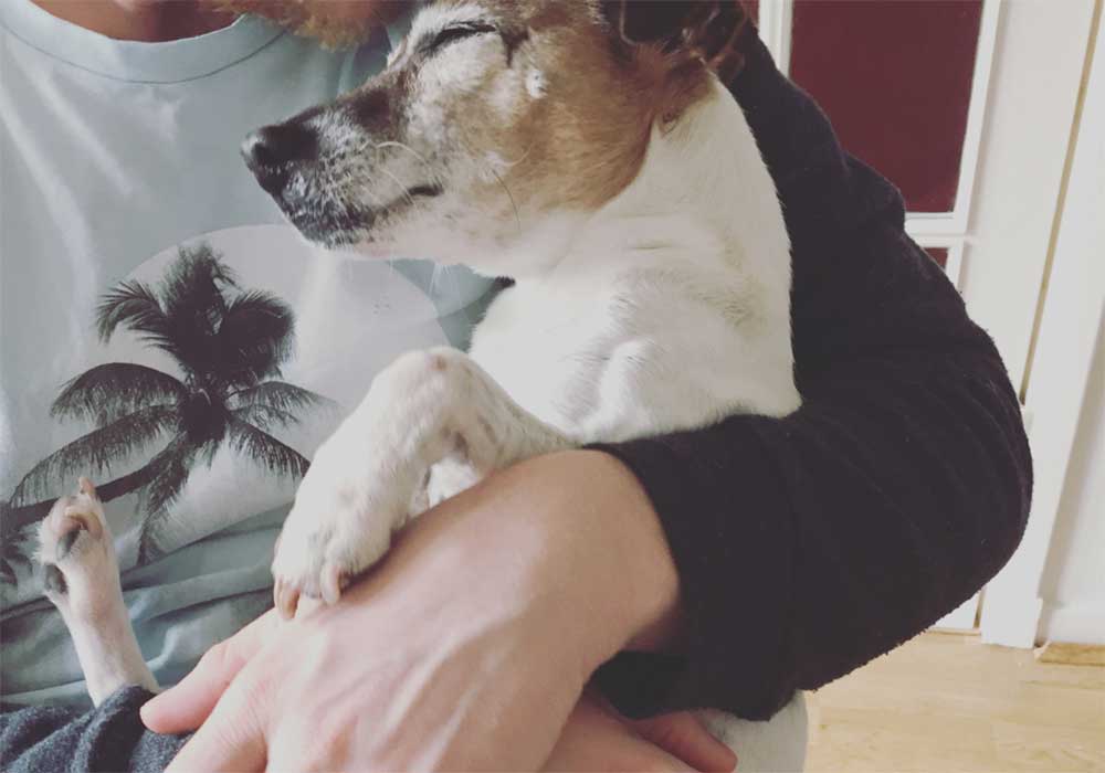 Balancing Self Care and Dog Training Top Tips - Hounds and Hooves